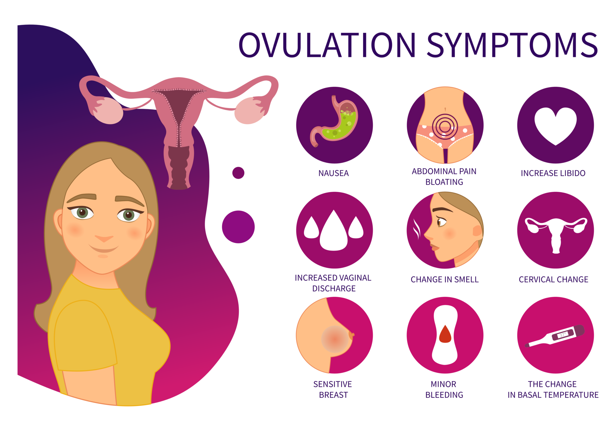 Ovulation Signs And Symptoms Pharmed Ovulation Signs And Symptoms Pharmed